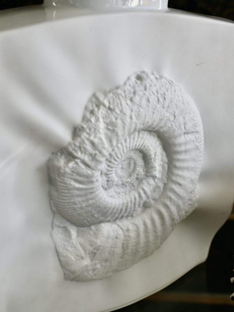 German Ammonite vase in white bisque porcelain c.1970 – European Antiques