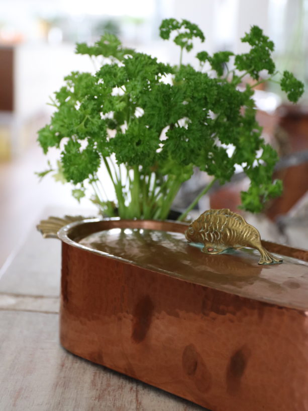 Early 20th century brass and copper fish kettle – European Antiques